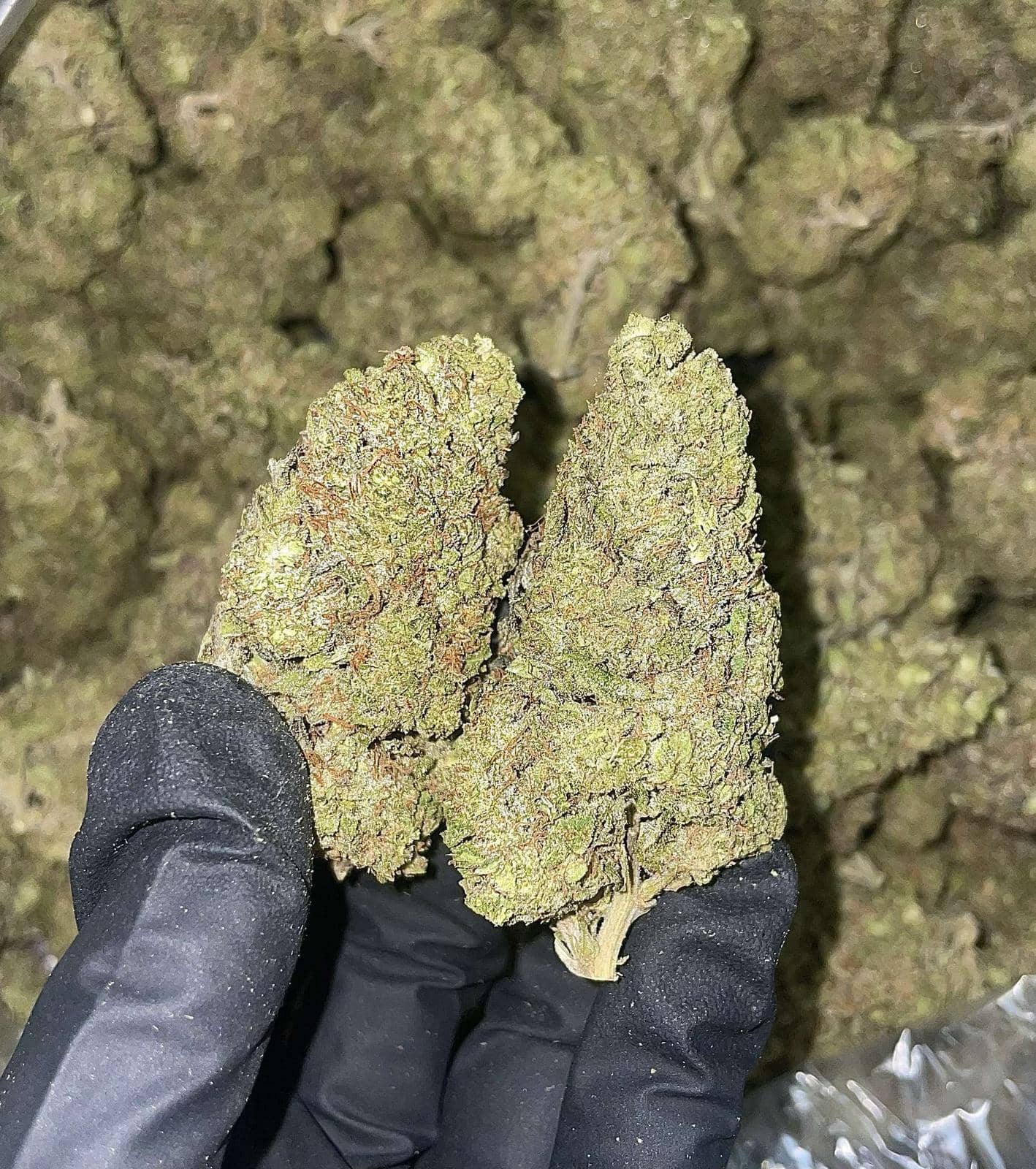 Gas face - Stoned VA